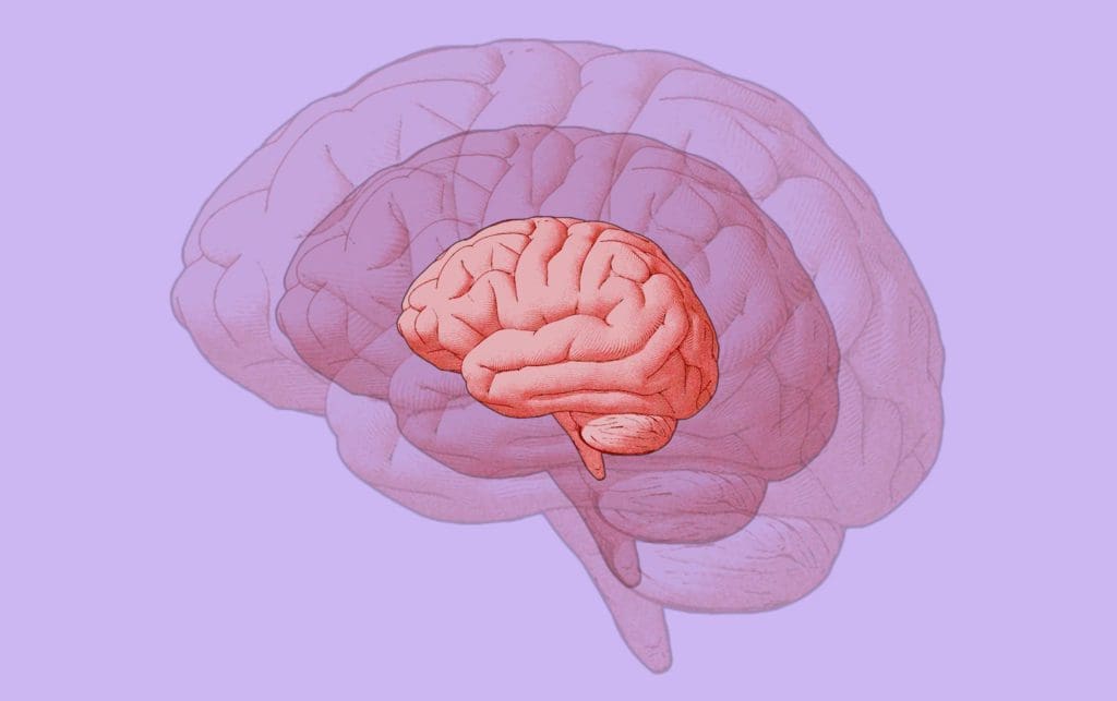 What Is THCB? Benefits, Risks, and Uses