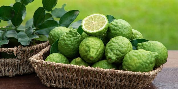 What Is Bergamotene? Benefits, Uses, and Risks