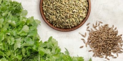 ¿Qué es el cimeno? Beneficios, usos y riesgos