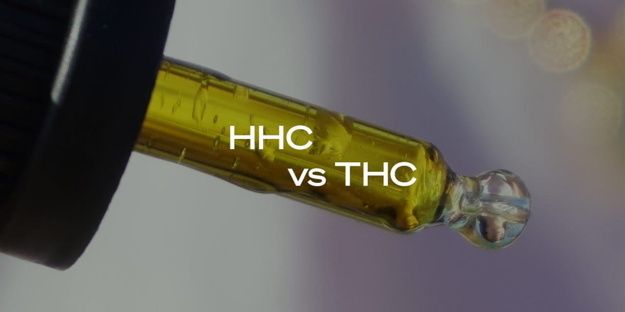 HHC Vs THC What s The Difference HHC Vs THC What s The Difference