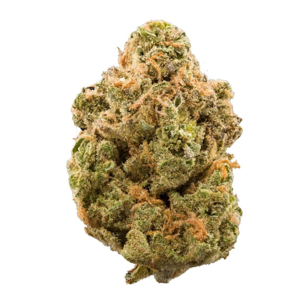 Stardawg Marijuana Strain, AKA Stardog Stardawg Marijuana Strain, AKA Stardog