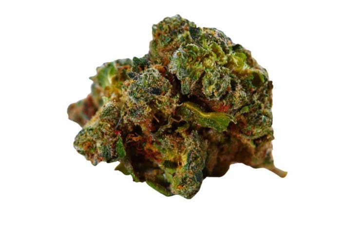 Cepa de Marihuana Green Crack - Leafwell