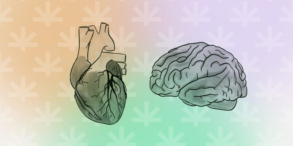 Medical Cannabis, Heart Health, and Stroke: The Pros & Cons